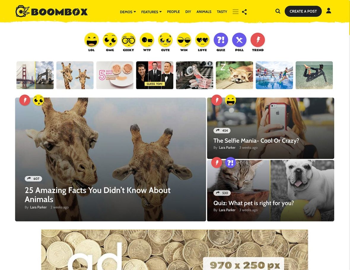 8 Best Content Sharing WordPress Themes 2025