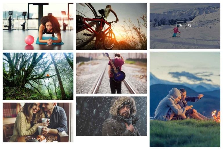9 Best WordPress Grid Plugins 2022 - aThemes